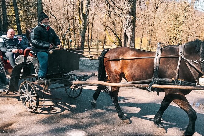 Bijambare Cave and Spring of River Bosna Tour - The Sum Up