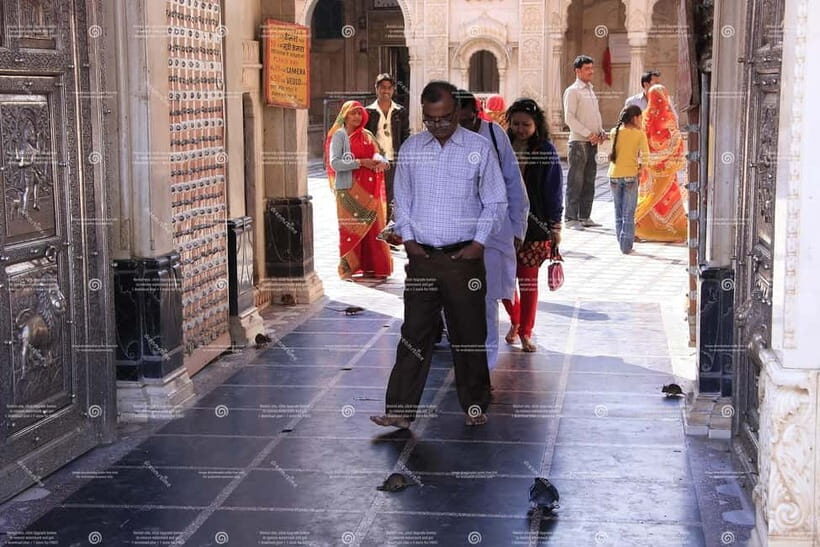 Bikaner to Jaisalmer: Junagarh Fort & Rat Temple Tour - Scenic Drive Through the Thar Desert