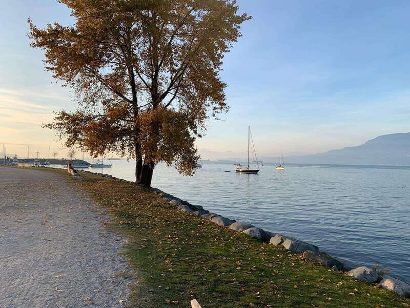 Bike and Hike Vancouver - Why Choose This Tour?