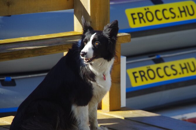 Bike, Boat & Gear Rental - The Authentic Feel and Practical Details