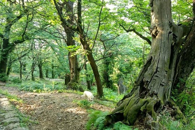 Bike & hike tour - The Sum Up