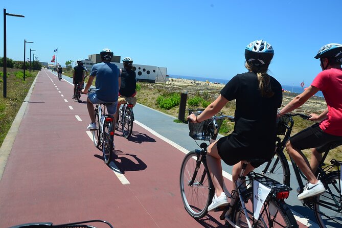 Bike or E-Bike Tour of Porto and Atlantic Coast - Cycling Through Tranquil Pine Forests