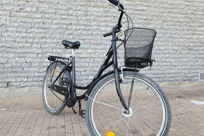 Bike Rental in Malaga - Who Should Consider This Experience?