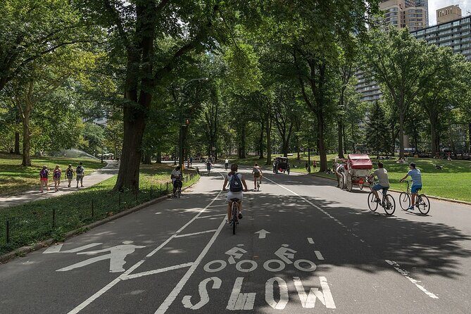 Bike Rental NYC Central Park - Why Choose a Bike Rental for Central Park?