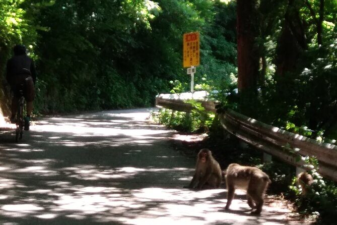 Bike Rentals in Nagano to Explore Snow Monkey Park. - Exploring Nagano by Bike: What You Can Expect