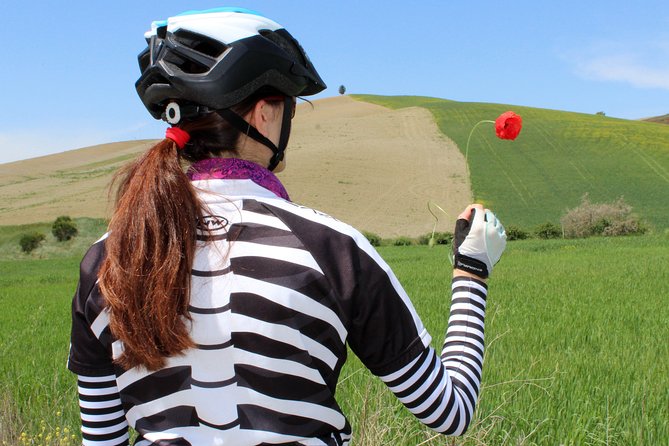 Bike Ride immersion val d'Orcia - An Overview of the Tour Experience