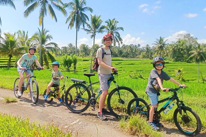 Bike ride in the rice fields, Bali countryside - Key Points