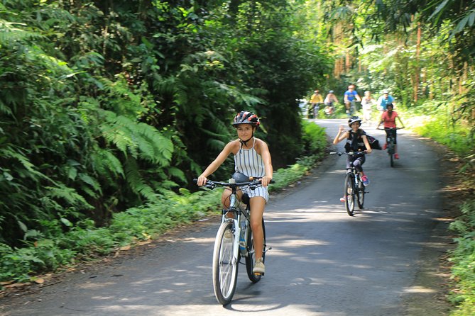 Bike ride in the rice fields, Bali countryside - Final Thoughts: Is This Tour for You?