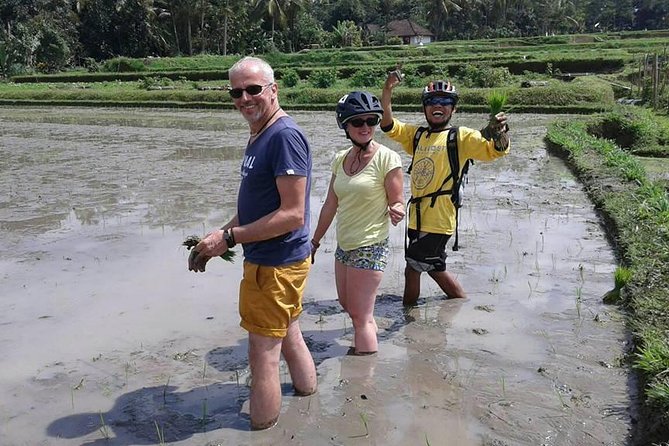 Bike ride in the rice fields, Bali countryside - FAQs