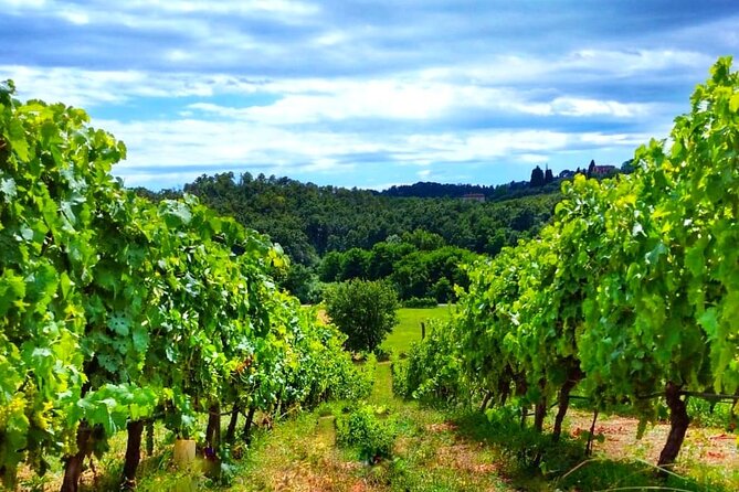 Bike Ride & WIne Tasting - Who Will Love This Tour?