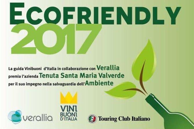 Bike Station Valpolicella: E-Bike Tour & Amarone Tasting - Health and Safety Considerations for the Tour