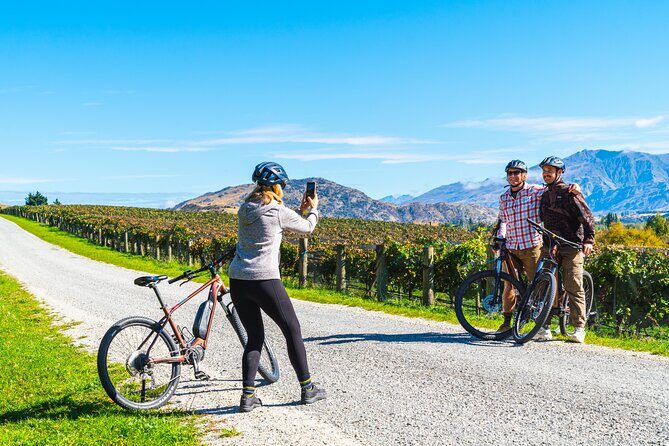 Bike The Wineries (1/2 Day) - Quick Pedal to Pinot - The Experience: A Detailed Look at the Itinerary