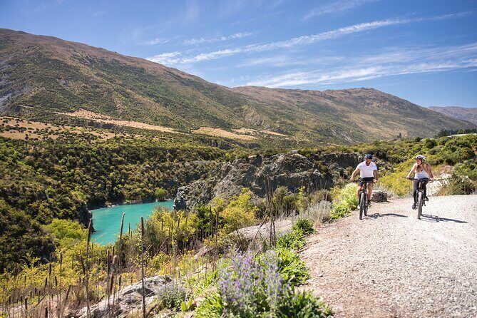 Bike The Wineries (1/2 Day) - Quick Pedal to Pinot - FAQ