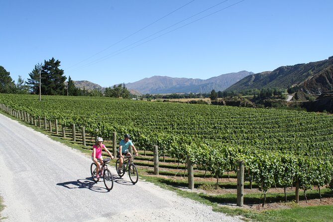 Bike The Wineries (3/4 Day) - Ride Through Queenstown Vineyards - References
