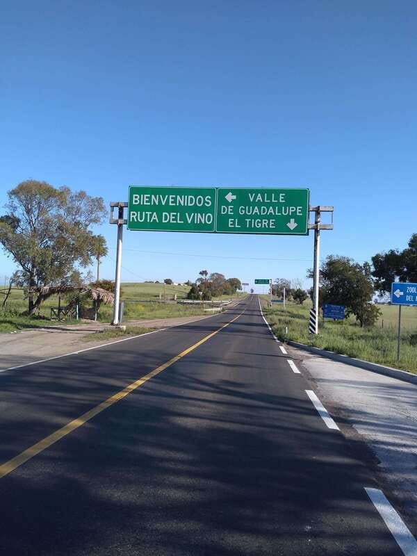 Bike Through Vineyards The best Wine in the Guadalupe Valley - Who Should Consider This Tour?