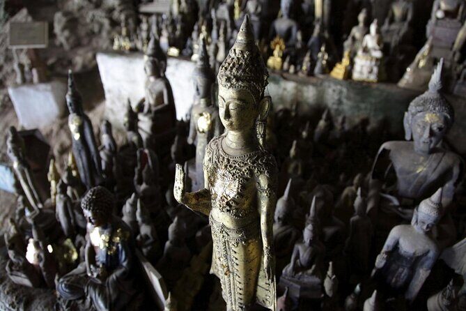 Bike to Pak Ou Caves and boat trip back to Luang Prabang City full day - An In-Depth Look at the Tour Experience