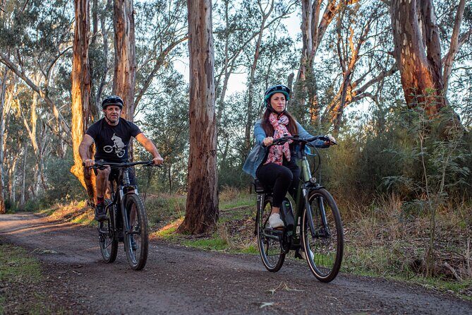 Bike to Winery Tour - The Sum Up: Why This Tour Is a Good Choice