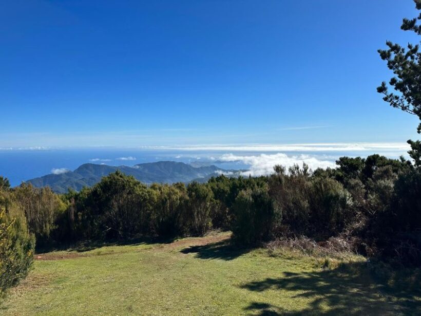 BIKE TOUR - BOTANICAL LEVELS OF MADEIRA, TRAIL EXPERIENCE - Real Travelers’ Experiences