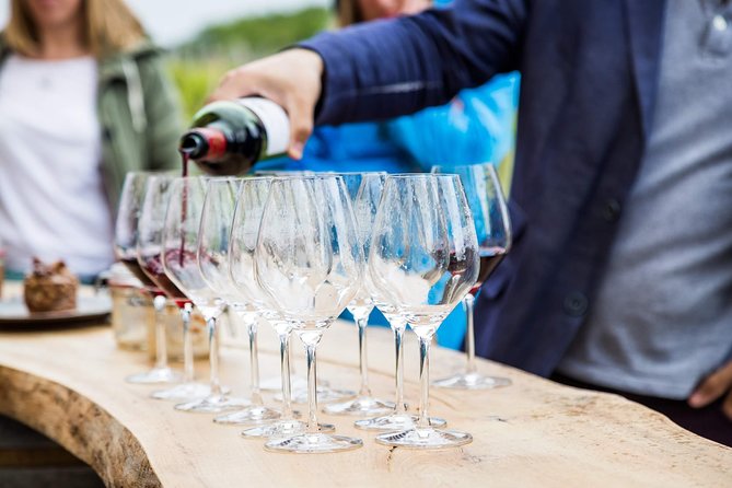 Bike Tour by Saby - Authenticity and Highlights from Reviews