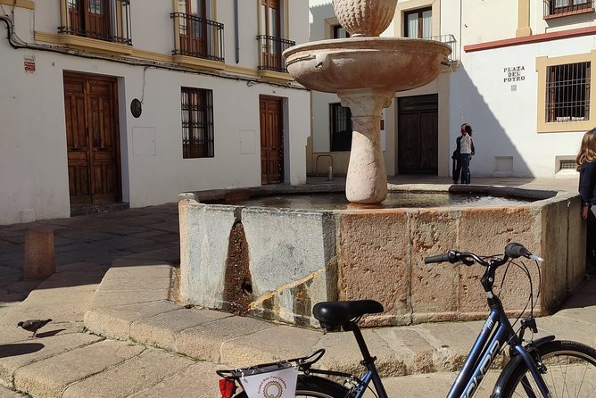 Bike Tour Córdoba - Inclusive Amenities and Customizations