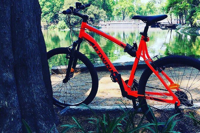 Bike Tour in Mexico City - An In-Depth Look at the Bike Tour Experience