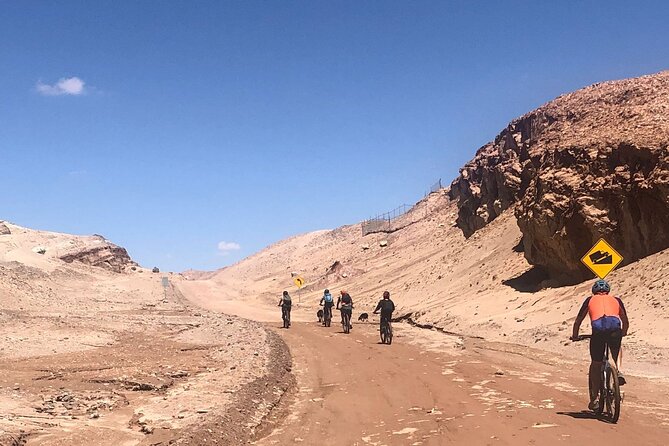 Bike Tour in San Pedro De Atacama - Personalized Experience for Small Groups