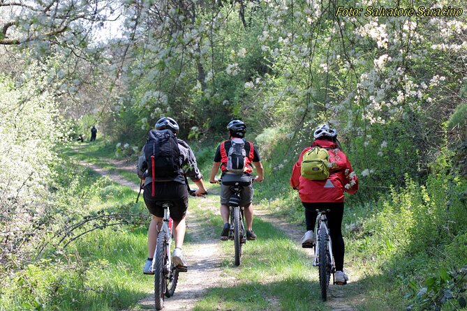 Bike Tour into the nature around Castel del Monte - The Practical Details