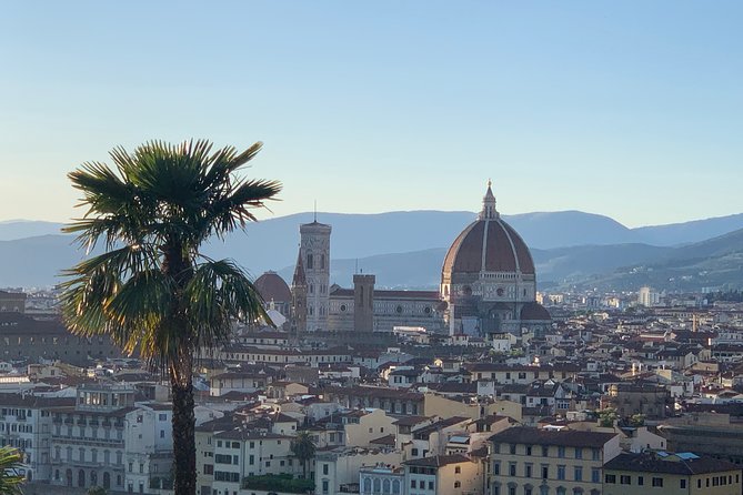Bike Tour of Florence With Piazzale Michelangelo - Participant Requirements and Accessibility