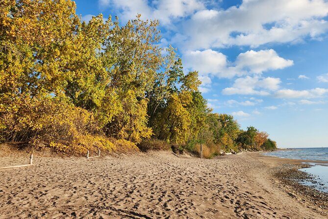 Bike Tour Toronto Harbourfront and Toronto Islands (Economical) - What the Tour Includes and What You Need to Know