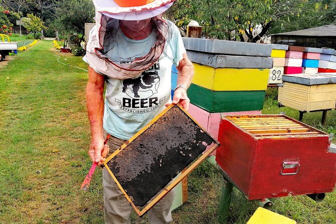 Bike Tour With Honey and Artichockes on Sant'Erasmo Island - Access Fee for Travelers Outside Venice