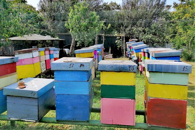 Bike Tour With Honey and Artichockes on Sant'Erasmo Island - Preparing for the Bike Tour
