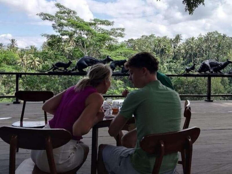 Bike Tour:Downhill,Countryside,Temple,School,Rice Field,Meal - How Does the Price Reflect the Experience?