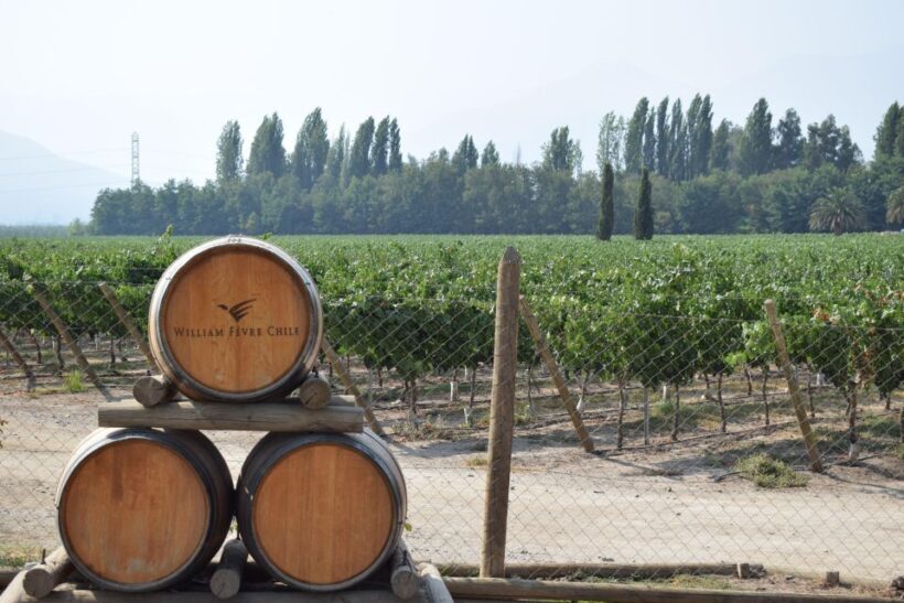 Bike & Wine Adventure in the Andes Mountains Pedal and Tast - The Sum Up: Is It Worth Your Time?