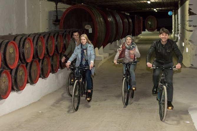 Biking a Guinness Book Winery - The Joy of Biking Through Wine