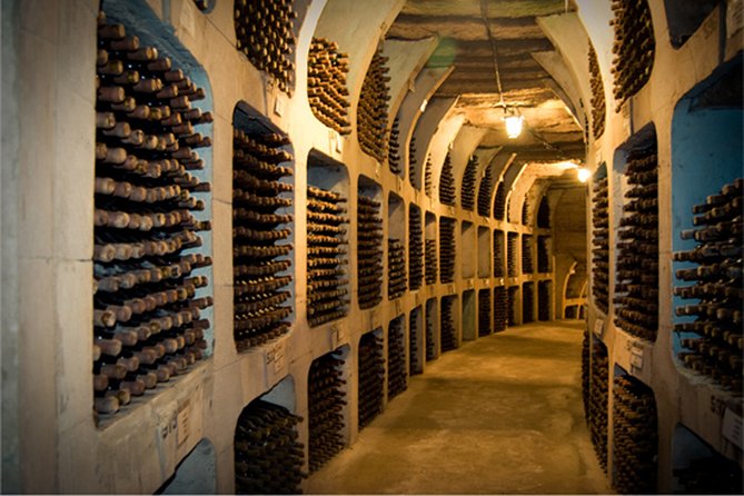 Biking a Guinness Book Winery - Transportation and Logistics