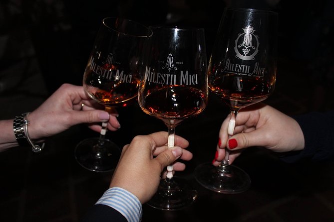 Biking a Guinness Book Winery - Reviews and Highlights From Previous Guests