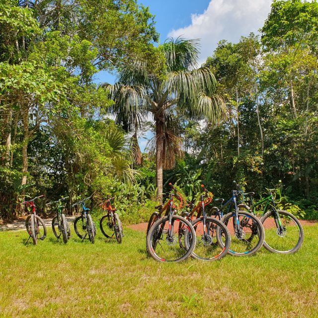 Biking in Peruvian rainforest with Lagoon visit - Practical Tips
