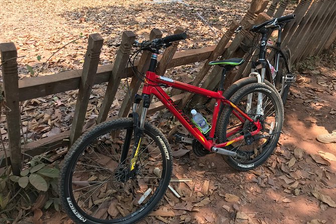 Biking Tour in Angkor Wat, Angkor Thom Ancient Capital, Ta Promh - The Sum Up: Is It Worth It?
