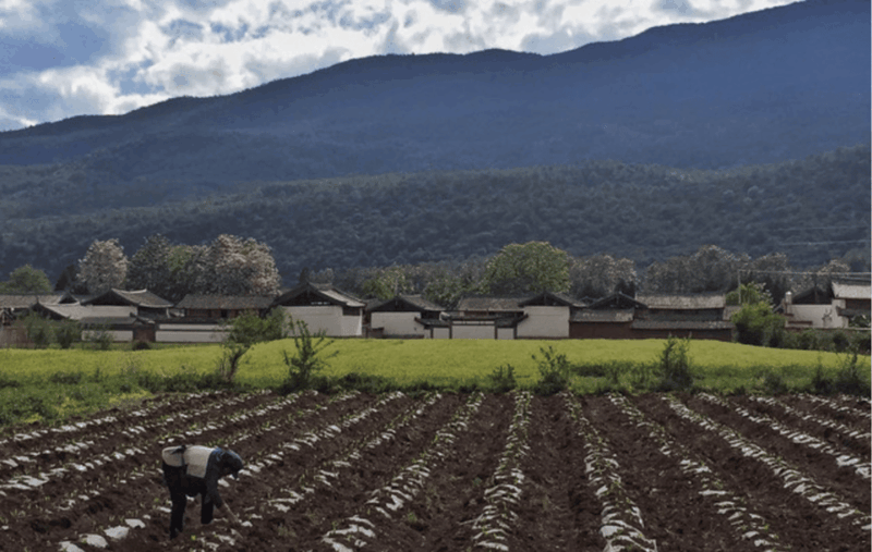 Biking tour&guide visit Lijiang baisha village market park - FAQ