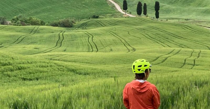 Biking Val d'Orcia - Exploring the Val dOrcia: Why This Tour Gets It Right