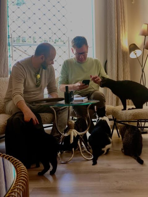 Bilbao: 30-Minute Entry Ticket to a Cat Café - The Experience in Detail