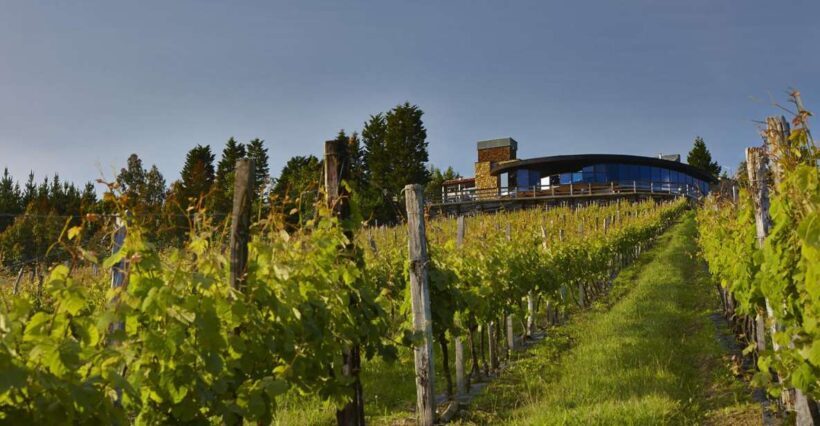 Bilbao Txakoli Wine Tour - Discovering the World of Txakoli: A Deep Dive