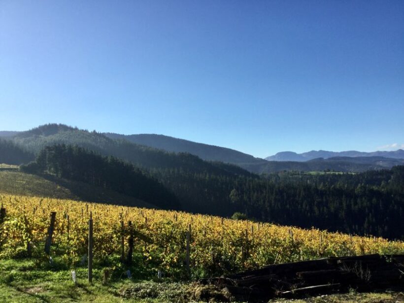 Bilbao Txakoli Wine Tour - Frequently Asked Questions