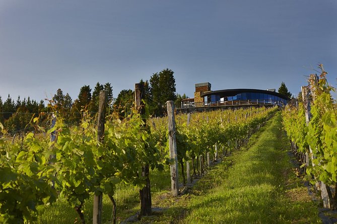 Bilbao Txakoli Wine Tour - The Sum Up: Why This Tour Might Be Your Best Bet in Bilbao