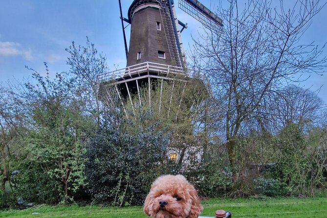 Bills Bike Tour Amsterdam - Bike With Bill and Puppy Herman - Interacting With Puppy Herman