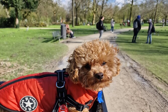 Bills Bike Tour Amsterdam - Bike With Bill and Puppy Herman - Feedback From Tour Participants