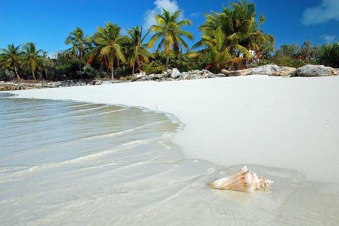 Bimini , Bahamas- Ferry Tickets- Overnight Option - The Itinerary: What to Expect from Start to Finish