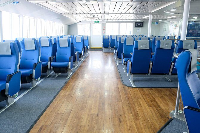 Bimini Day Cruise from Fort Lauderdale with Round-Trip Miami Transfer - Authentic Experiences and Unfiltered Feedback