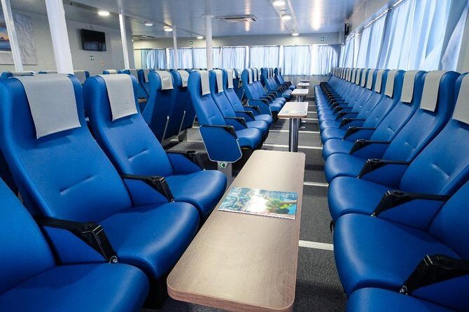 Bimini Day Cruise from Fort Lauderdale with Round-Trip Miami Transfer - Final Thoughts