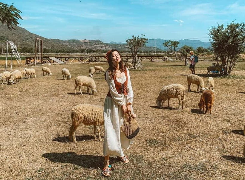 Binh Lap Tour Hang Rai - Sheep Field - Vinh Hy -Grape Garden - A Detailed Look at the Tour